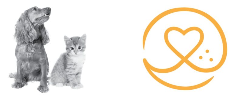 NAPHIA-SecondaryPageGraphics-5 - NAPHIA