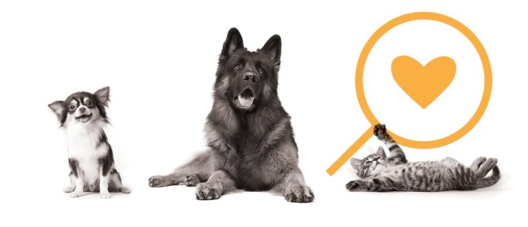 Get Your Pet Covered - NAPHIA