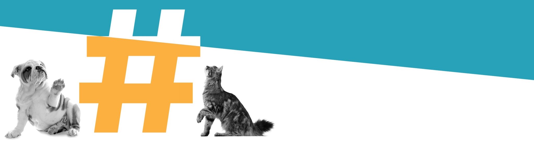 Total Pets Insured - NAPHIA State of the Industry Report