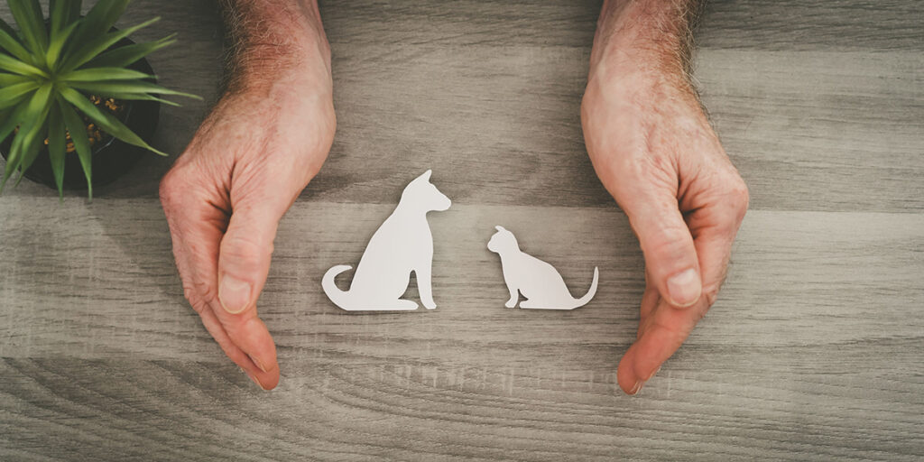 NAIC’s Pet Health Insurance Model Law Approved - NAPHIA