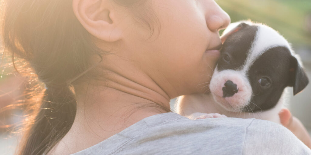 Industry Experts Weigh-In On All Things Puppy & Kitten Related ...